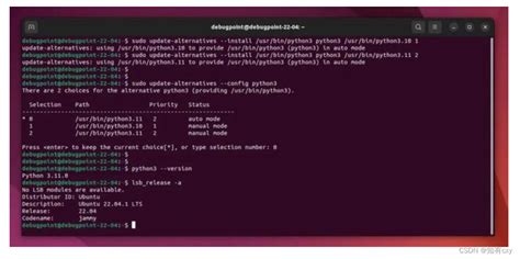 如何在 ubuntu 和相关发行版中安装 python 3 11 ubuntu18 04安装python3 11 csdn博客