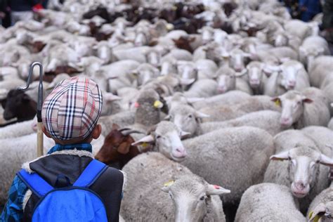 La Unesco declara la trashumancia y la técnica del vidrio soplado