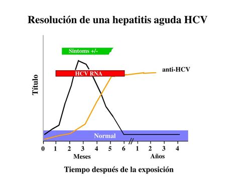 Ppt Historia Natural De La Hepatitis C Powerpoint Presentation Free