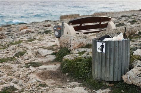 Basura orgánica e inorgánica qué son y diferencias