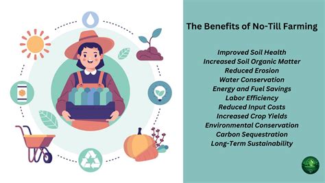 Challenges And Solutions In Transitioning To No Till Farming