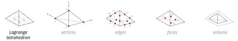 modeling arbitrary order lagrange finite elements in the visualization