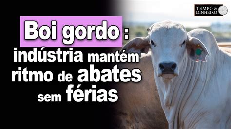Boi gordo indústria tem escalas compostas por lotes de confinamento e