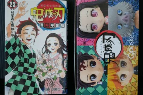 JAPAN MANGA DEMON Slayer Kimetsu No Yaiba Vol 23 Special Edition W