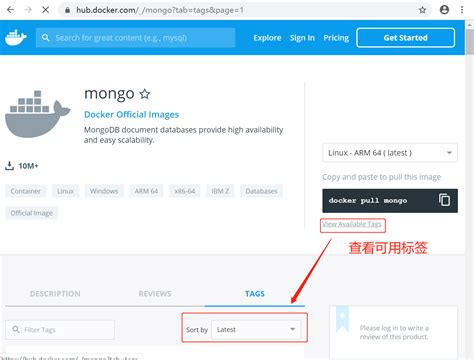 docker 安装 mongodb 菜鸟教程