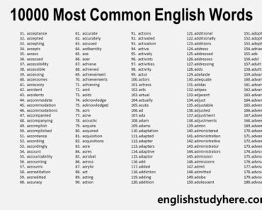 English Study Here
