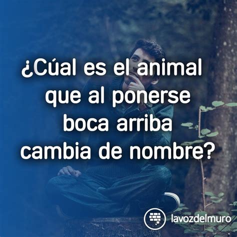 48 Acertijos Y Pasatiempos Con Respuestas Y Soluciones Artofit