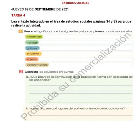 Busca El Significado De Las Siguientes Palabras Y Forma Una Frase Con