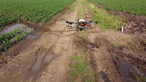 Aplicaci N Foliar En Cultivo De Ma Z Con Dron Youtube
