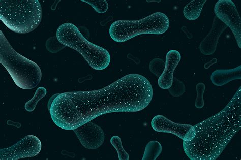 Microbiome S Role In Human Health And Disease Treatment Mirage News