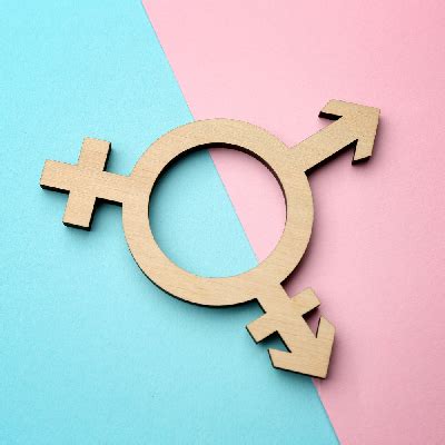 Orienta O Sexual Identidade De G Nero Sexo Biol Gico Qual A
