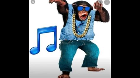 Monkey Doesnt Wear Any Pants Youtube