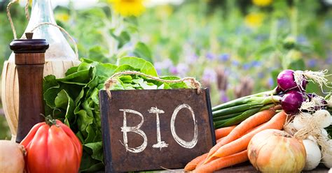Metabio Et Si L Agriculture Biologique Devenait Le Mode De Production