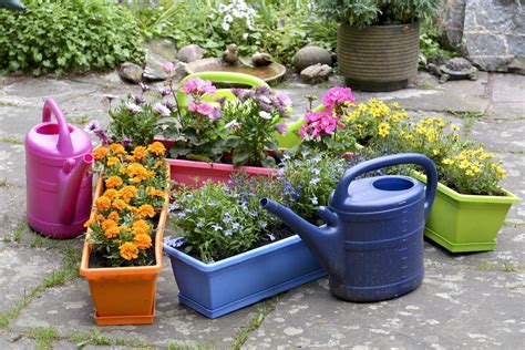 Pot De Fleurs En Plastique Quels Sont Les Avantages Maison Online