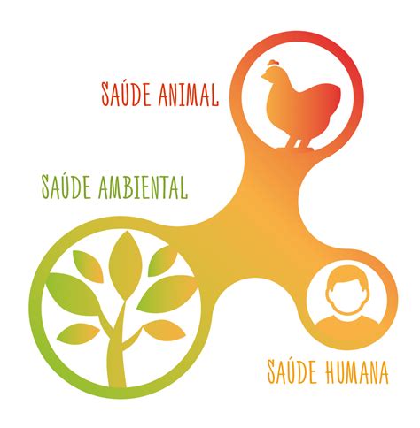 Interação humano animal Rede Lar em Paz