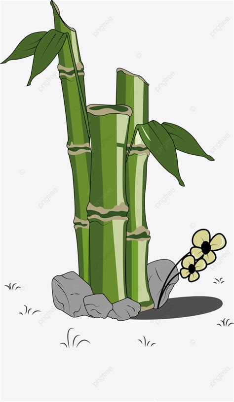 Green Bamboo Vector Bamboo Bamboo Vector Bamboo Leaves PNG And