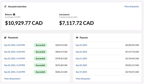 Understanding Lightspeed Payments Reports Ecwid Help Center