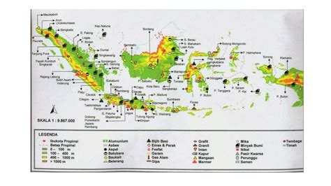 Detail Contoh Potensi Hutan Non Kayu Dan Persebarannya Koleksi Nomer 28