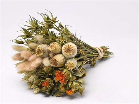 Droogbloemen Boeket Naturel 25cm Decofleur
