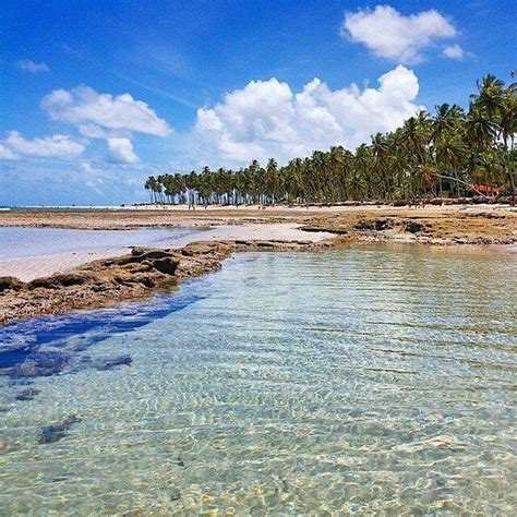 Tamandar Estado De Pernambuco Brasil Praia Dos Carneiros