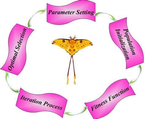 an efficient moth flame optimization mfo algorithm for solving numerical expressions