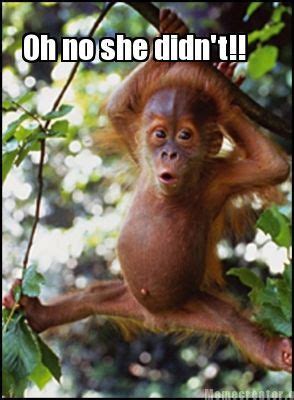 Oh No She Didn T Meme Generator At MemeCreator Org Baby Orangutan