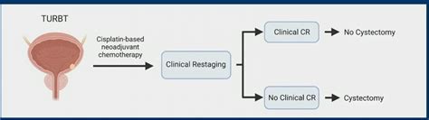 Asco Gu Co Primary Endpoint Analysis Of Hcrn Gu Phase