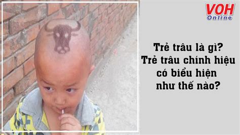 Cập nhật với hơn 81 về hình nền trẻ trâu hay nhất coedo vn