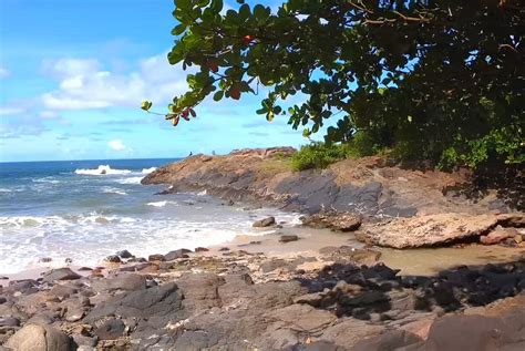 O que fazer em Ilhéus dicas de praias e passeios memoráveis