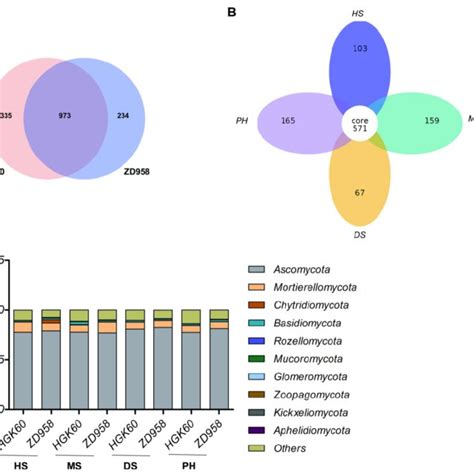 The Composition Of Fungal Community In The Rhizosphere Soil Of HGK60