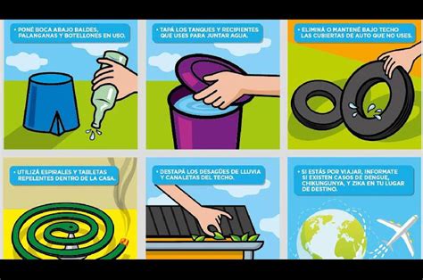 Difunden Acciones Para Evitar Dengue Zika Y Chikungunya El