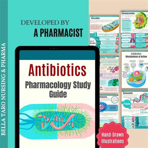 Antibiotics Pharmacology Bundle Antibiotics Cheat Sheets Nursing