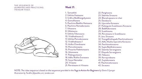 Week 17 Learning And Practicing Iyengar Yoga For Beginners YouTube