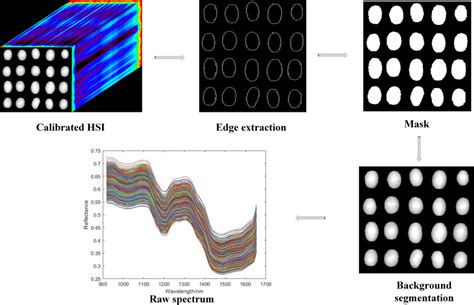 flowchart of hyperspectral data extraction download scientific diagram