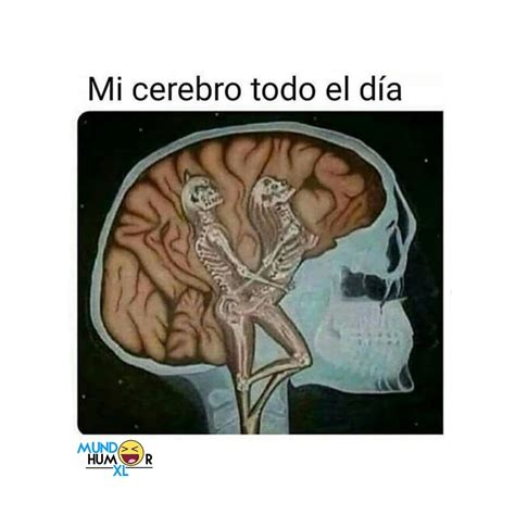 Mi cerebro todo el día Memes