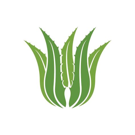 Premium Vector Aloe Vera Logo Icon Design Symbol Beauty