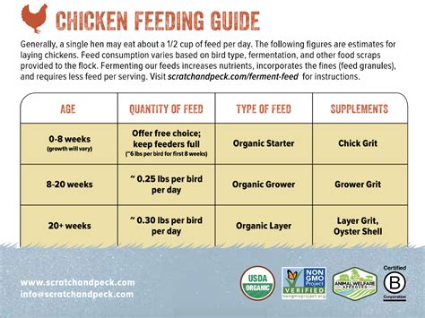 Handy Chicken Feeding Guide By Scratch And Peck Feed How Much Feed