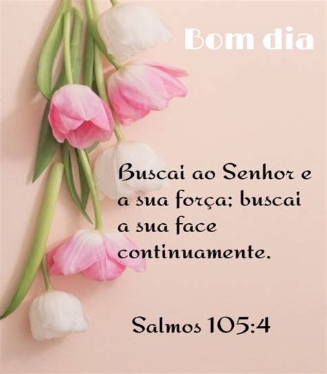 53 Imagens de Bom dia Salmos e Frases Bíblicas para Refletir