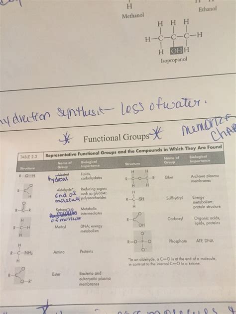 Functional Group Chart Diagram Quizlet