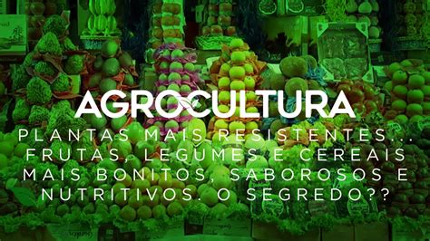 Conheça as técnicas de melhoramento genético para alimentos