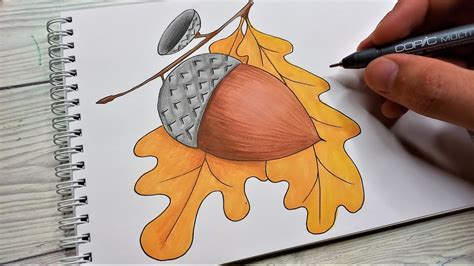 Desenez O GHINDA Fructul STEJARULUI Desen De TOAMNA Usor De