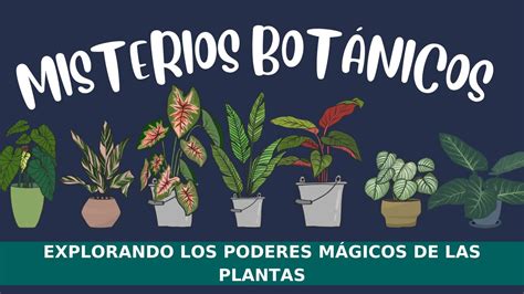 MISTERIOS BOTÁNICOS Explorando los Poderes Mágicos de las Plantas