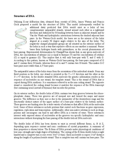 structure of dna and replication pdf dna replication dna