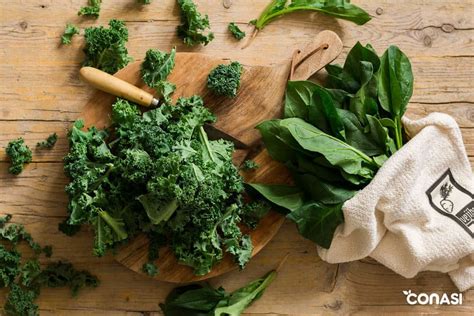 Todo sobre las hojas verdes propiedades y cómo cocinarlas