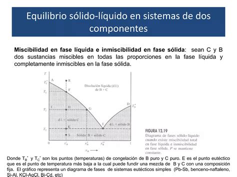 Equilibrio De Fases En Sistemas Ppt Descarga Gratuita