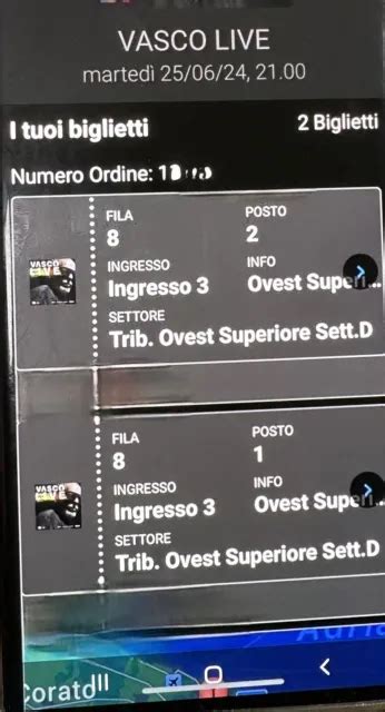 VENDO 2 BIGLIETTI VASCO ROSSI Concerto Bari 2506 2024 EUR 200 00