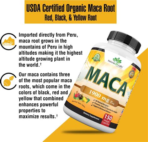Organic Maca Root Black Red Yellow 1900 MG Per Nepal Ubuy
