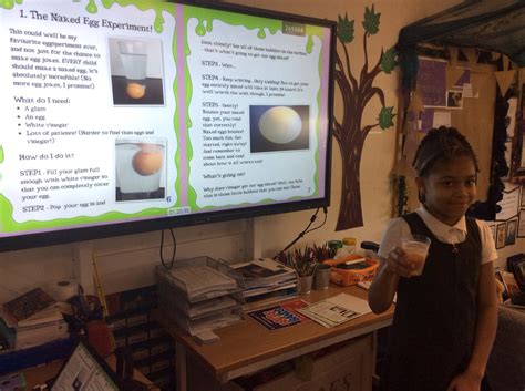 Cypress Tree Class Year On Twitter Its Science Week At Foxfield