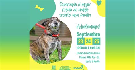 Adopta un canino en el día Mundial del Perro adoptado en Bogotá