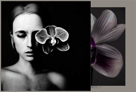 She Wore Flowers In Her Hair And Carried Magic Secrets I Flickr